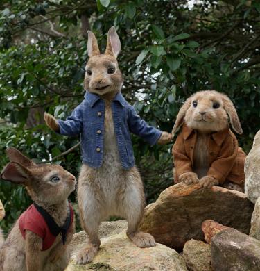 Peter Rabbit | Sony Pictures India